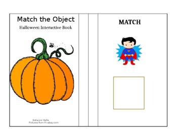 Match the Picture Halloween Interactive Adapted Book (ABLLS-R Aligned ...