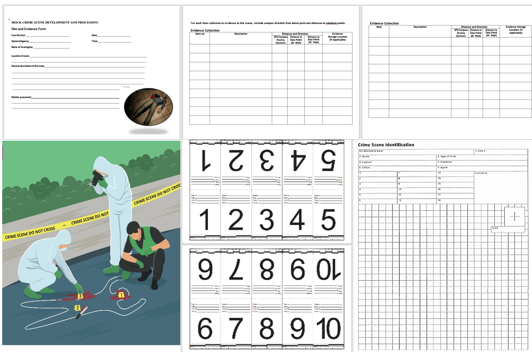 Lab Activity- Investigating a Crime Scene - Classful