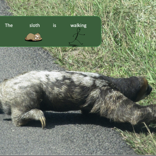 Expanding Utterances- Sloths Themed- Expressive Language Speech Therapy ...