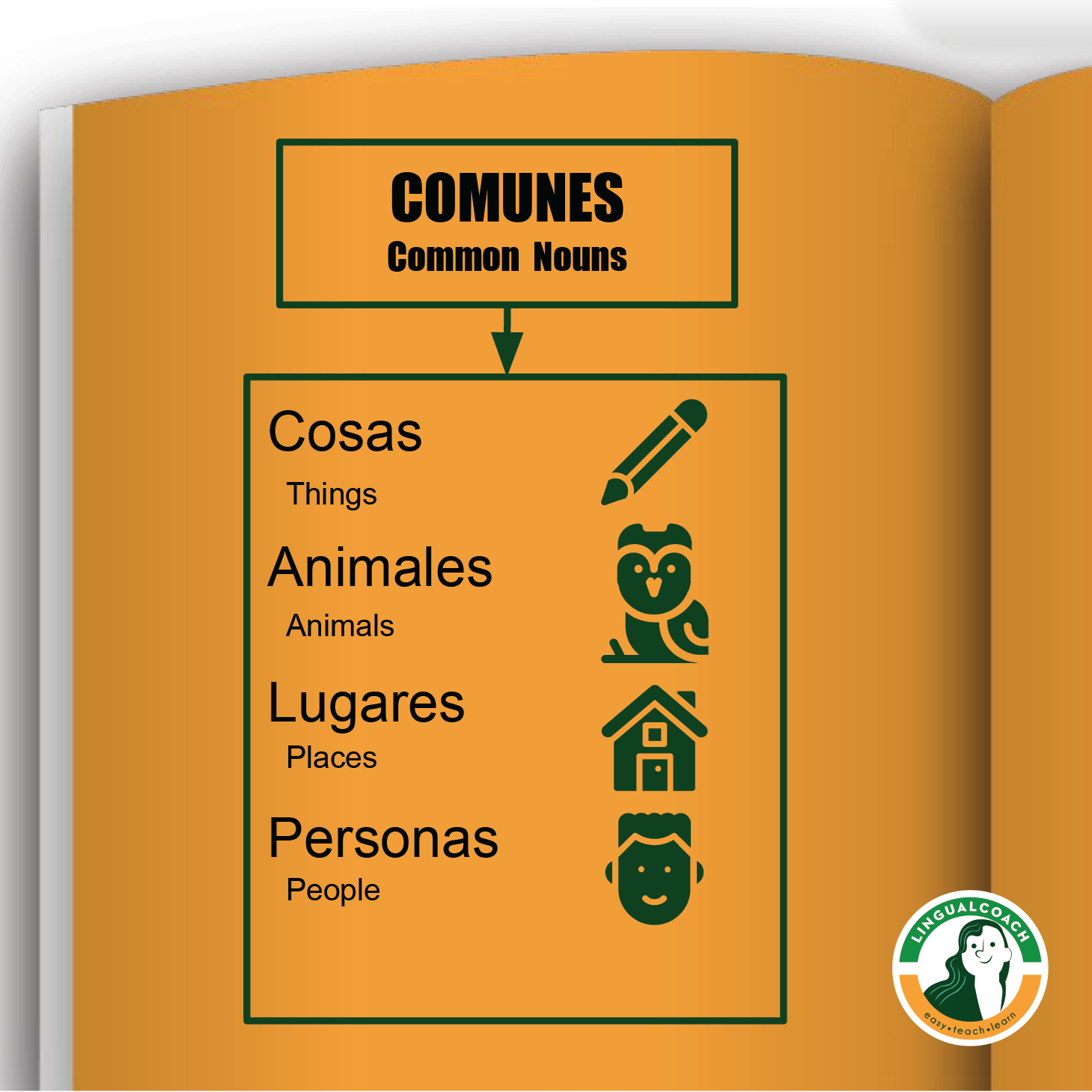 spanish-nouns-sustantivos-interactive-book-practices-and-quizzes