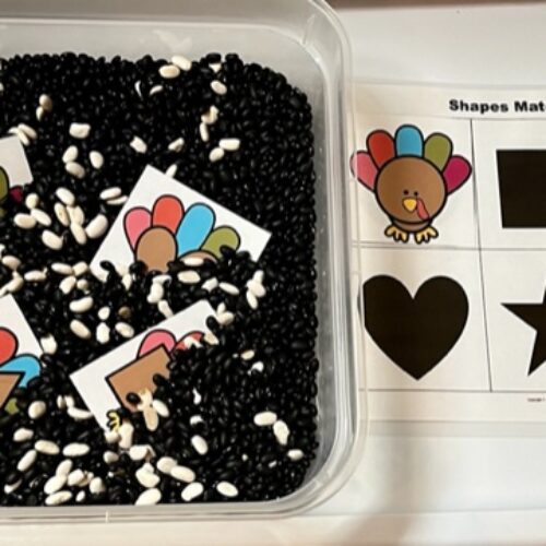 Thanksgiving Sensory Bins Activities & Centers For Preschool Special ...