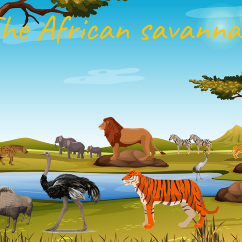 Safari virtual field trip around the world - Classful
