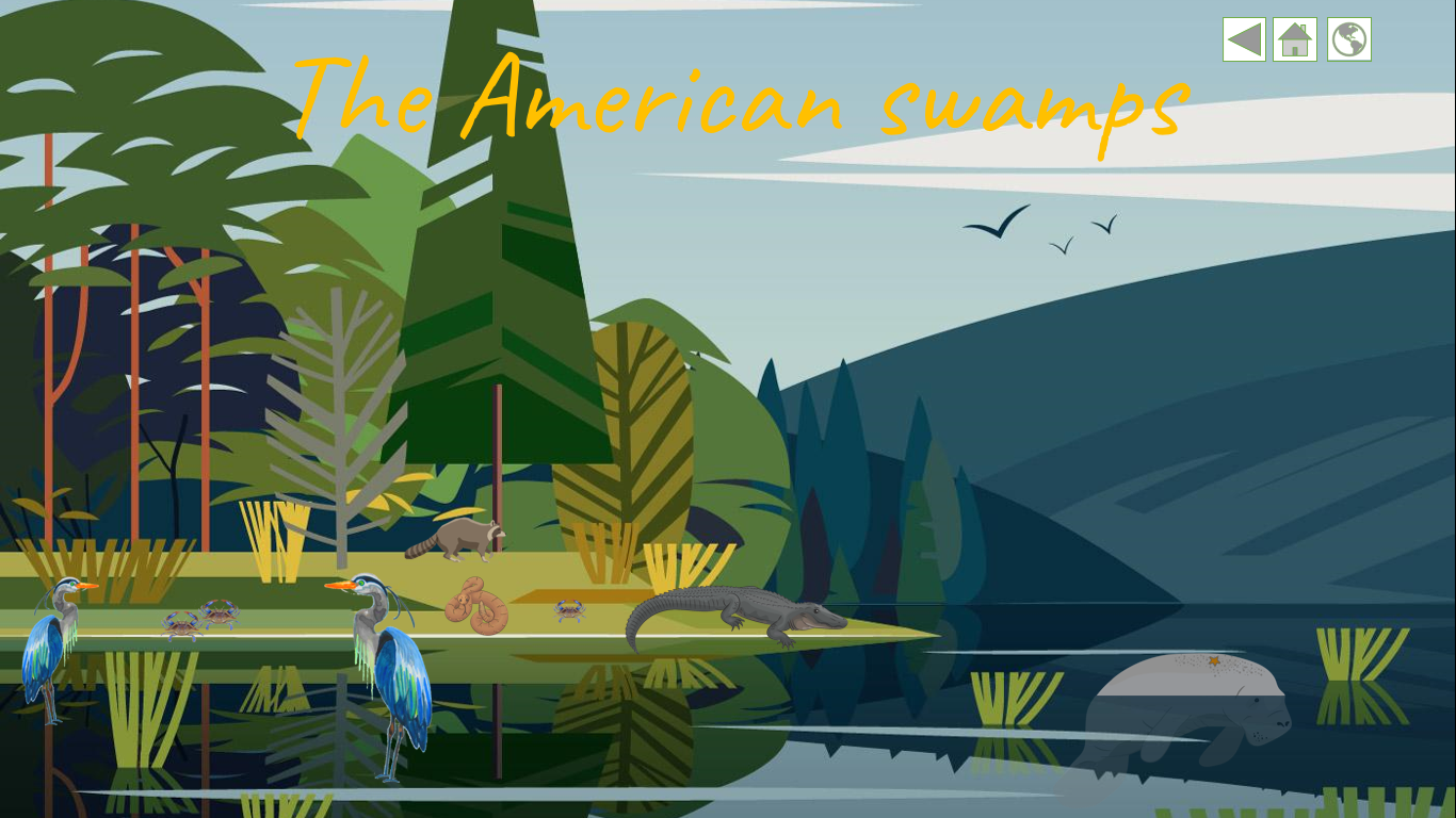 Safari virtual field trip around the world - Classful