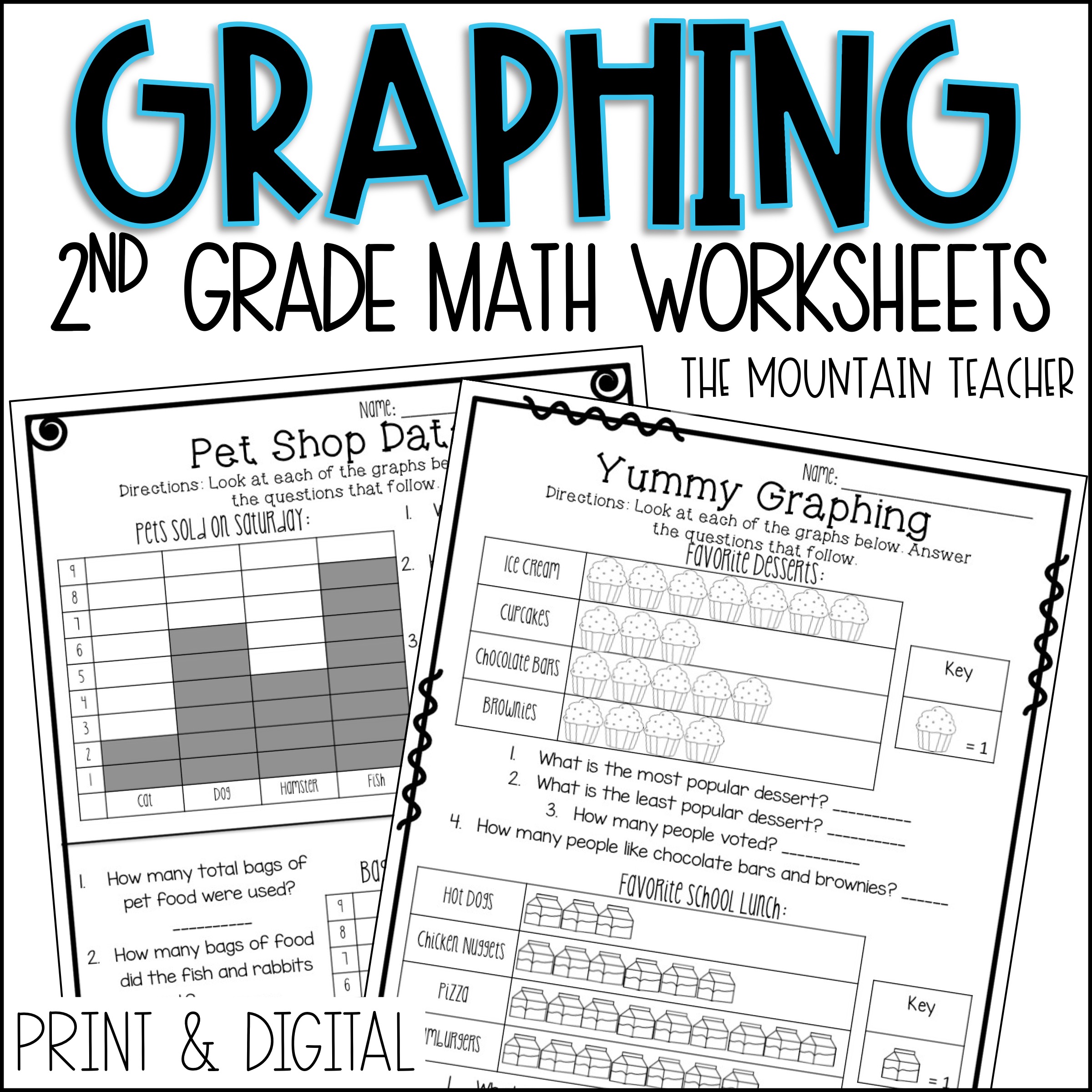 Data and Graphing Worksheets and Assessments | Printable and Google ...