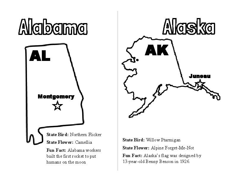 The 50 States Workbook - Classful