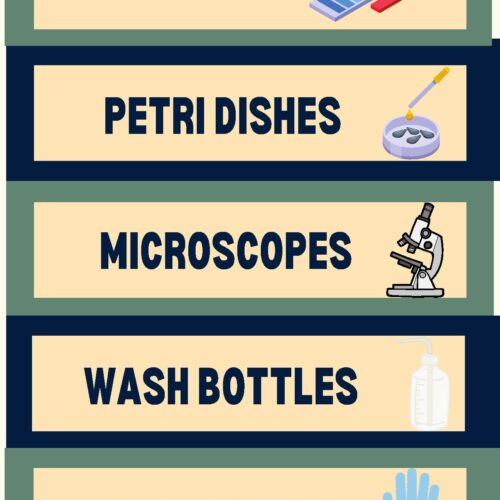 Science Lab Equipment Labels! - Classful