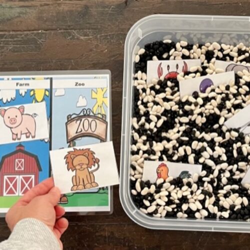FREE Animals Sensory Bins Sorting Activity For Preschool Special ...