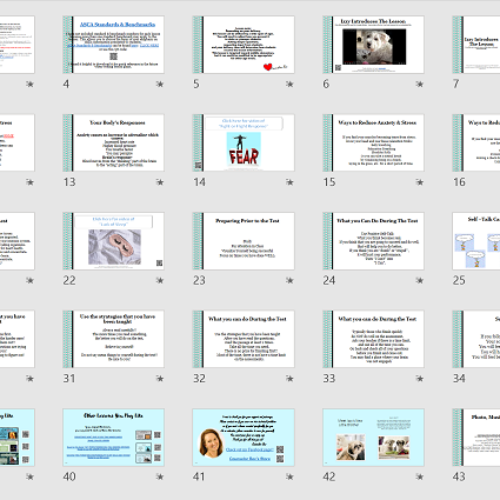 Ready to Use SEL Social-emotional Learning lesson teaching Test Anxiety ...