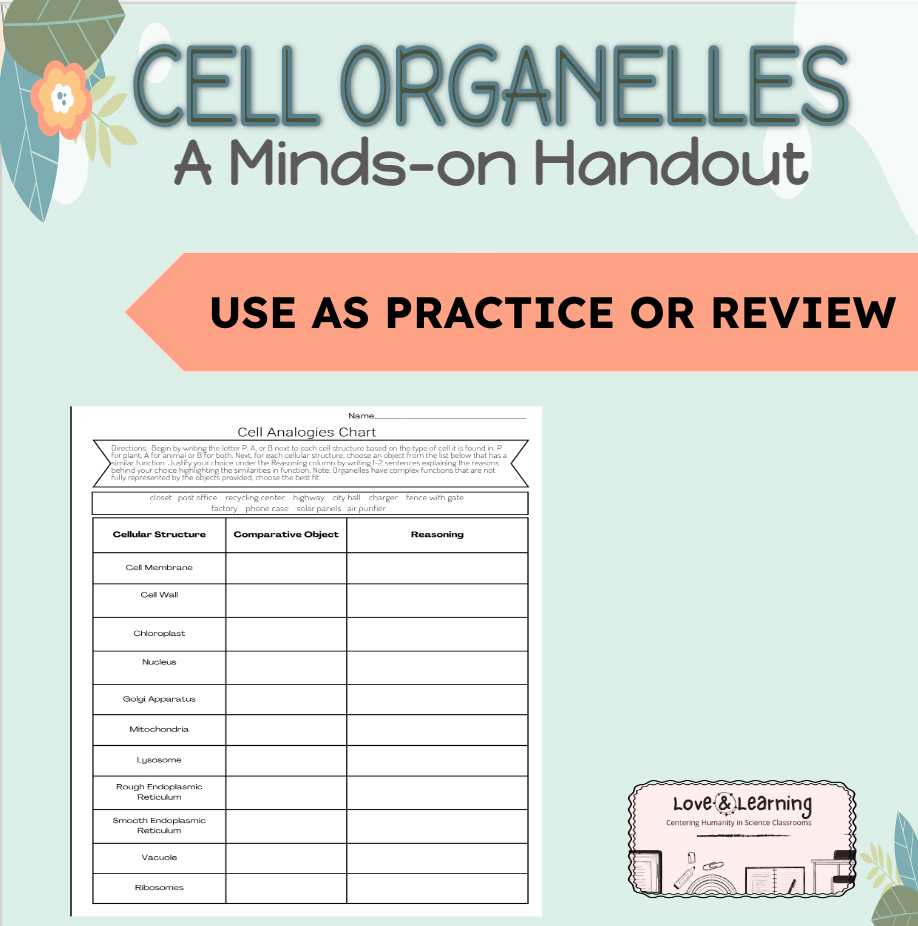 Cell Analogies Handout - Classful
