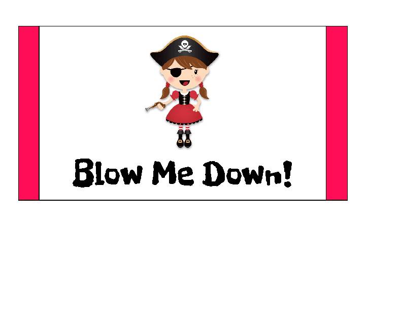 Pirate Themed Behavior Clip Chart - Classful
