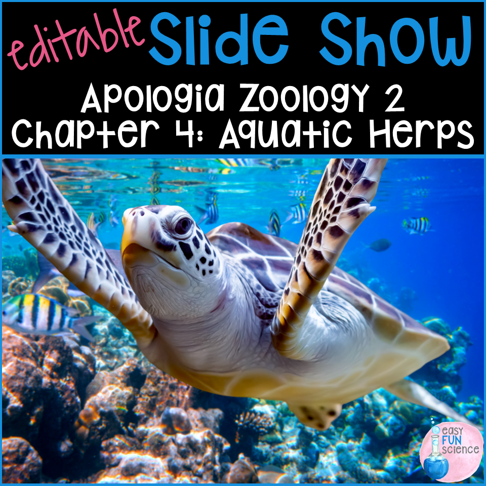 Apologia Zoology 2 Swimming Creatures Chapter 4 Slideshow | EDITABLE ...
