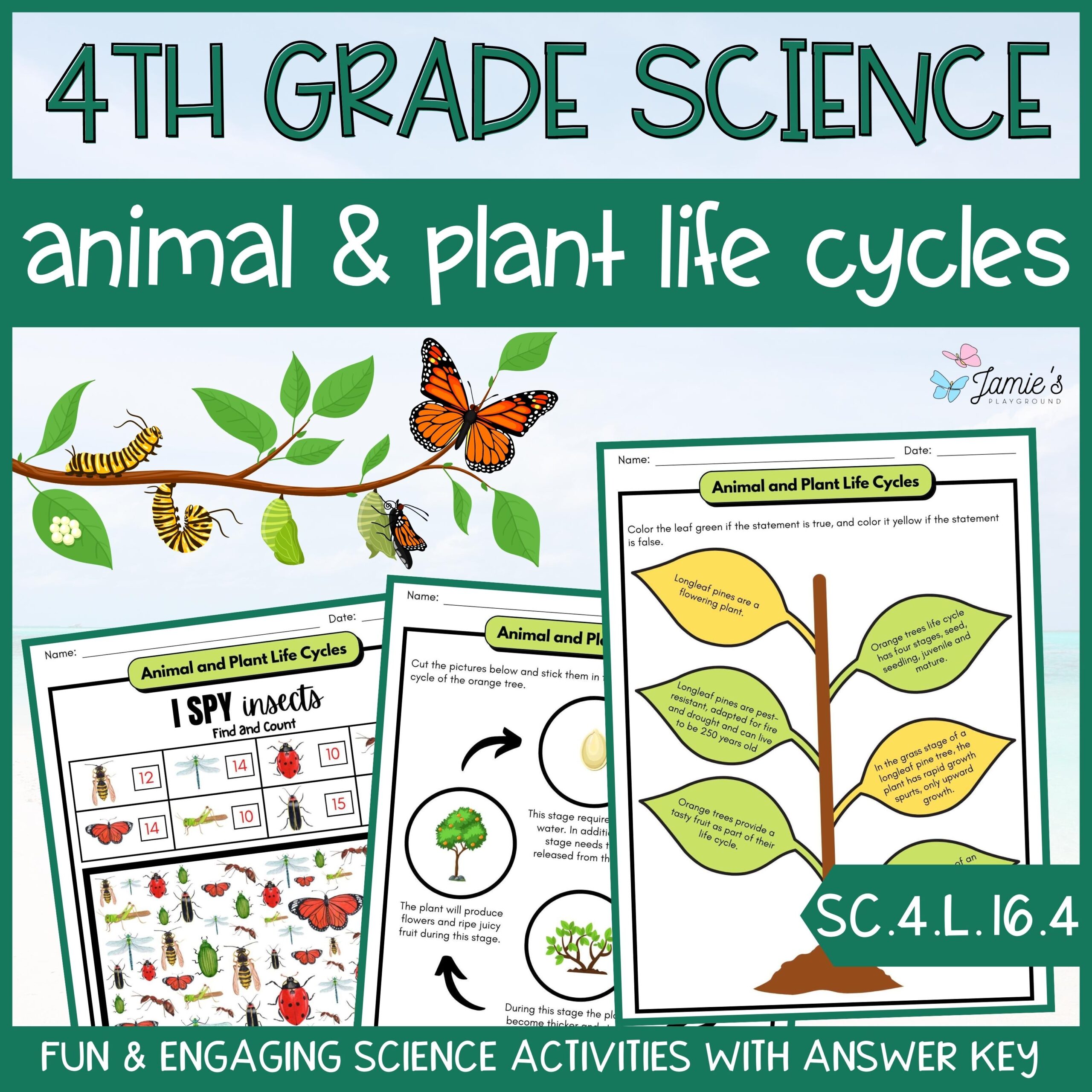 Animal & Plant Life Cycle- 4th Grade Life Science - ACTIVITIES + ANSWER ...