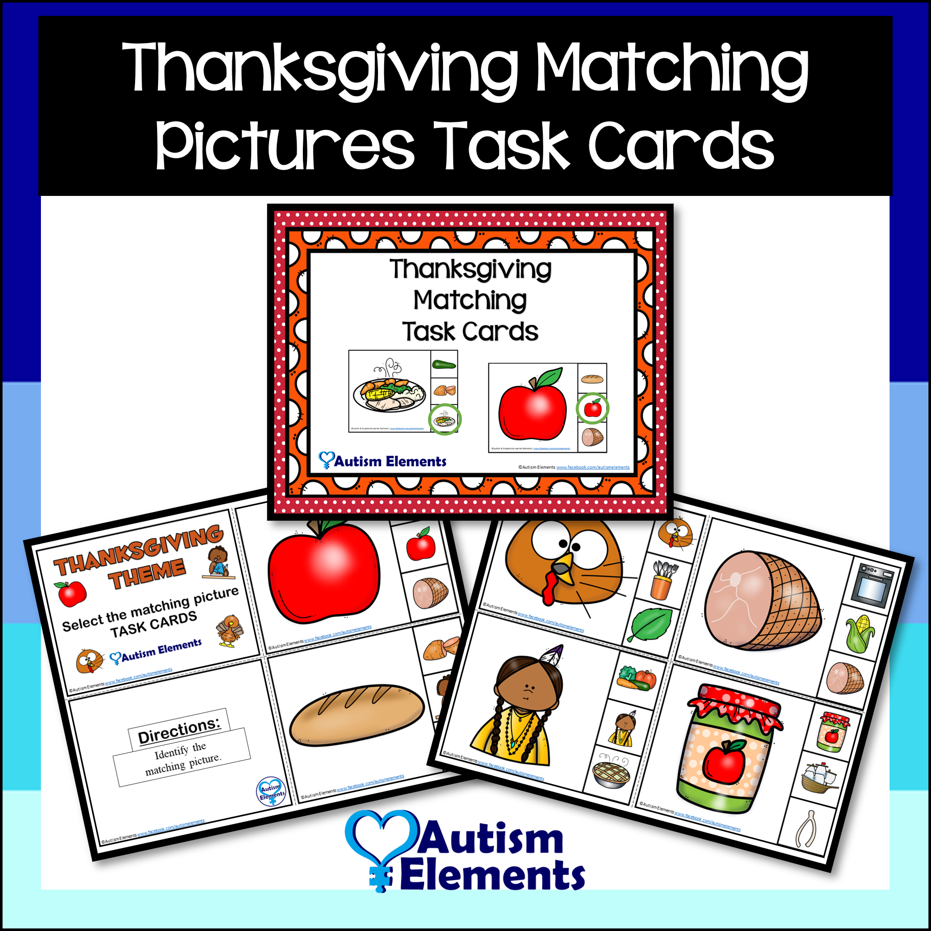 Thanksgiving Picture Matching Task Cards- Autism & SPED Resources ...