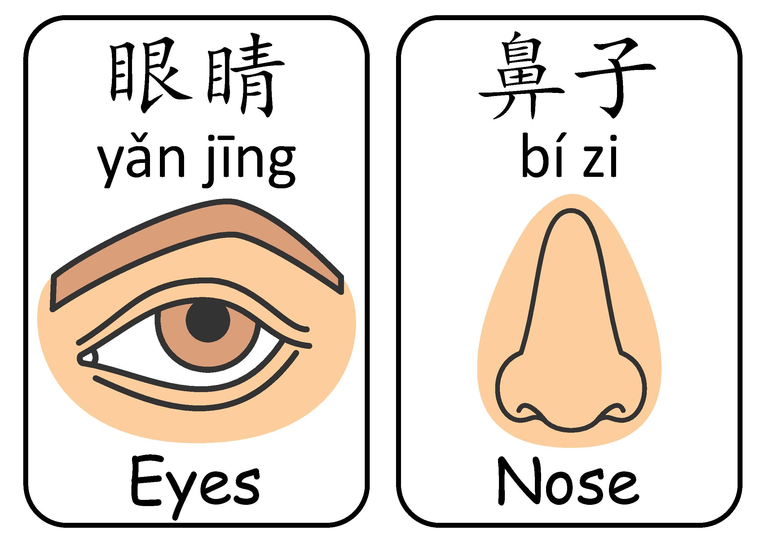 Mandarin Chinese First Words Flashcards - Body Parts flash cards with ...