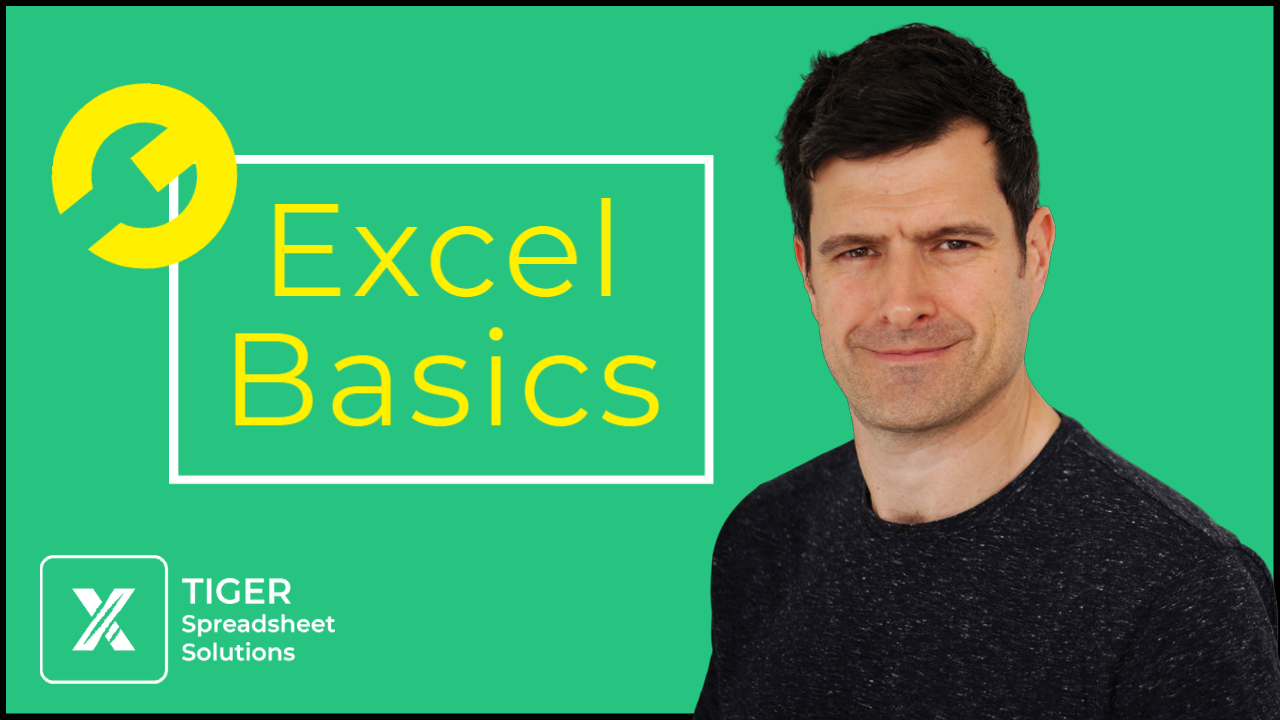 Excel Basics Course