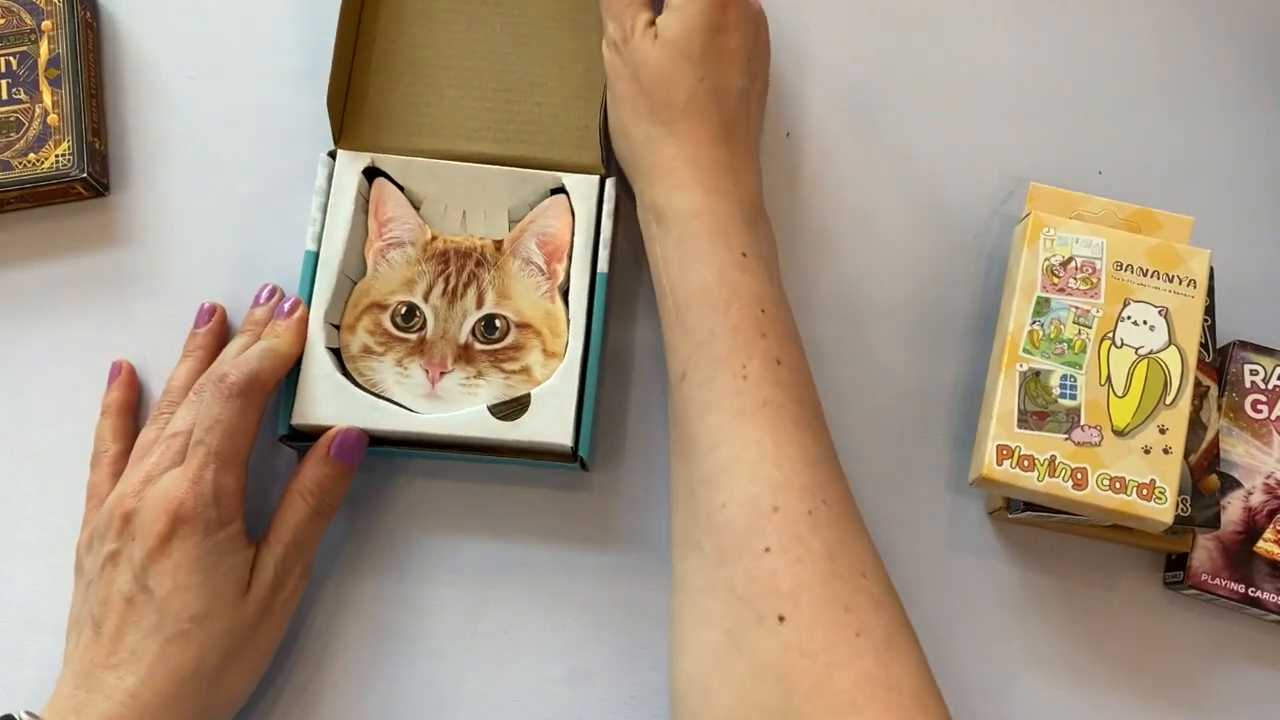 Unboxing the Best Cat Themed Card Decks!