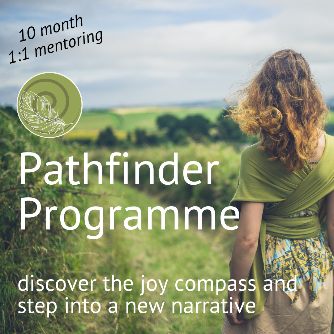 Pathfinder Programme