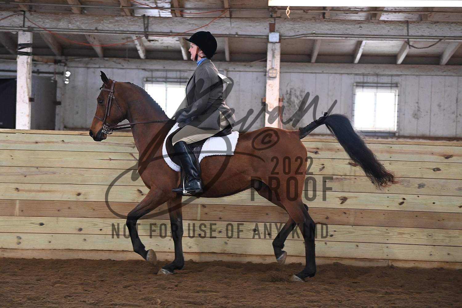 2023 - SATURDAY EVENING (92-120) - 101. ASB COUNTRY HUNTER PL ADULT ...