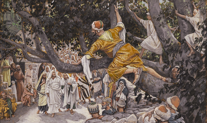 Zacchaeus, the Silly Tree, and the Meaning of Life – Catholic World Report