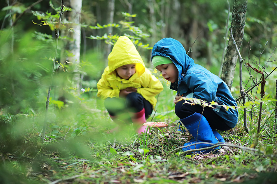 The Forest School Curriculum: Learning from Nature
