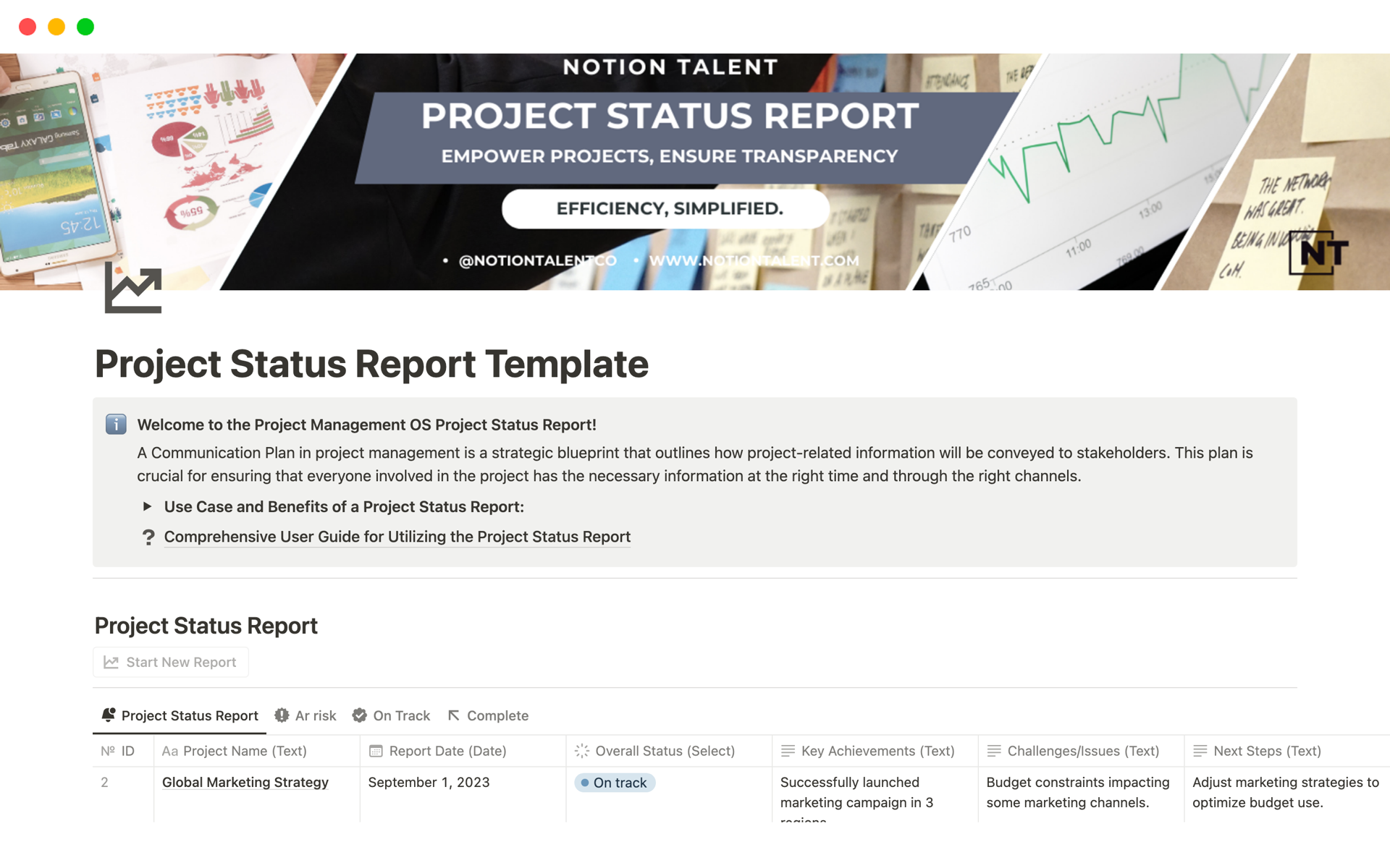 Weekly Project Status Report To Stakeholders Template Executive