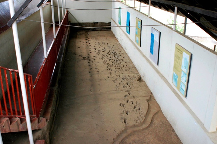 Las siete maravillas de la arqueología y el arte de los indígenas antes ...